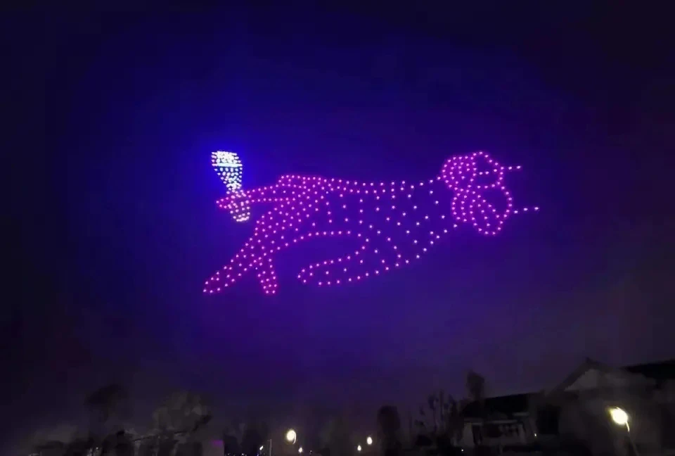 Professionnel Sky Outdoor Uav Programmable Swarming Drone For Led Light ...