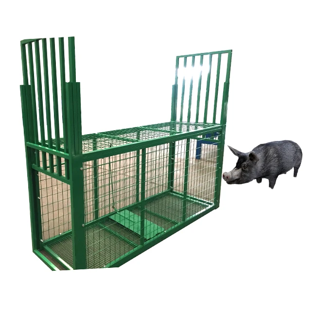 Length 2200mm Width 800mm Customer Size Square Cage Two Door Animal ...