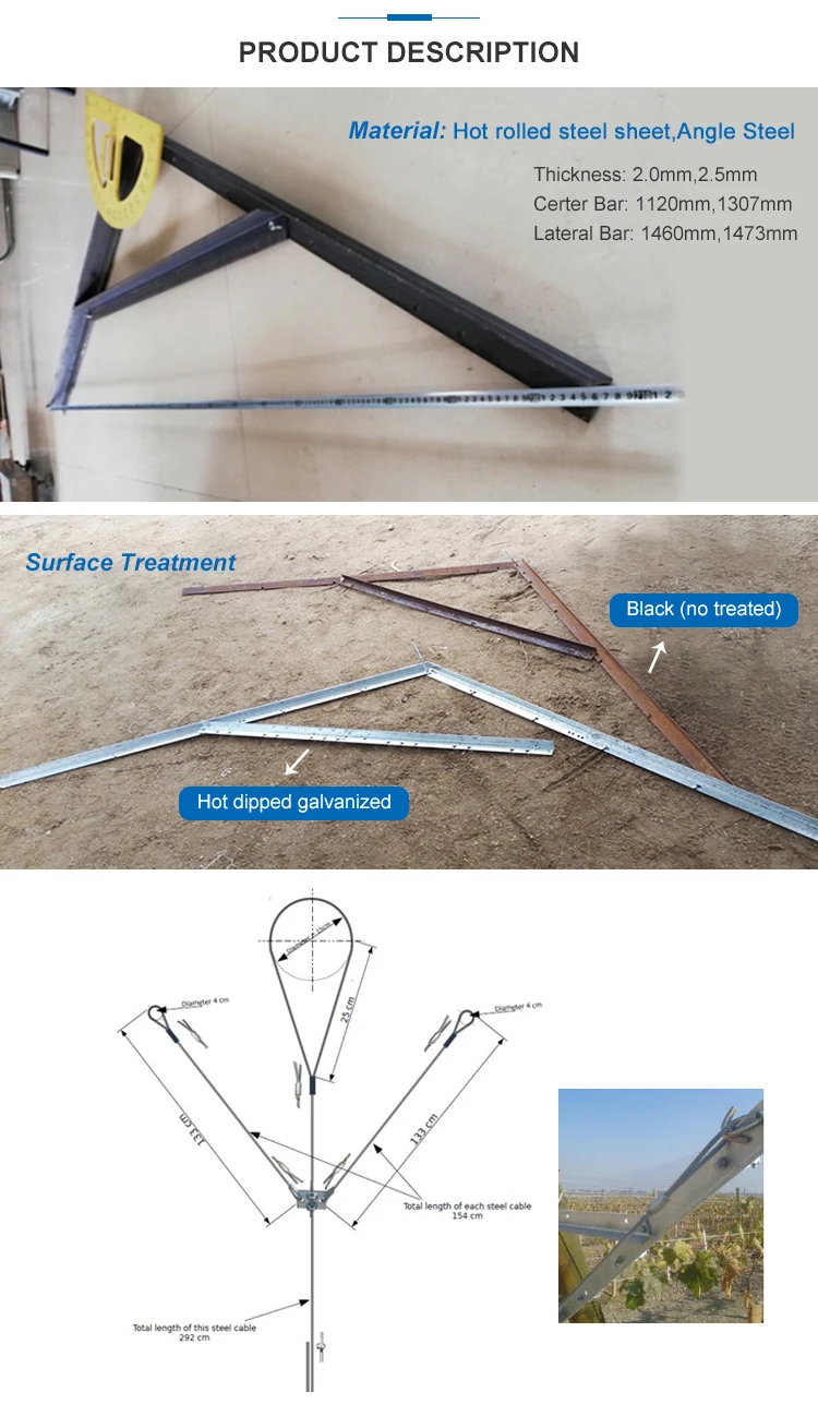 Y Shaped Open Gable Trellis System for Vineyard Success