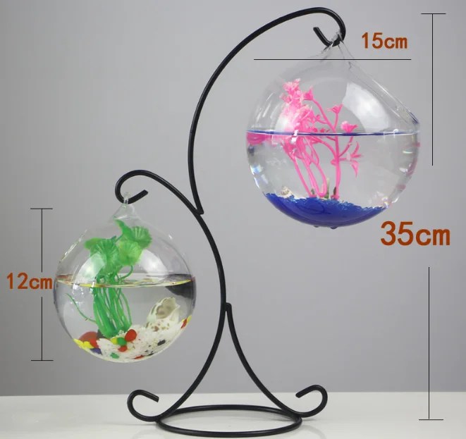 Goldfish Glass Ball Suspension Ecosphere Aquarium Fish Tank Flower ...