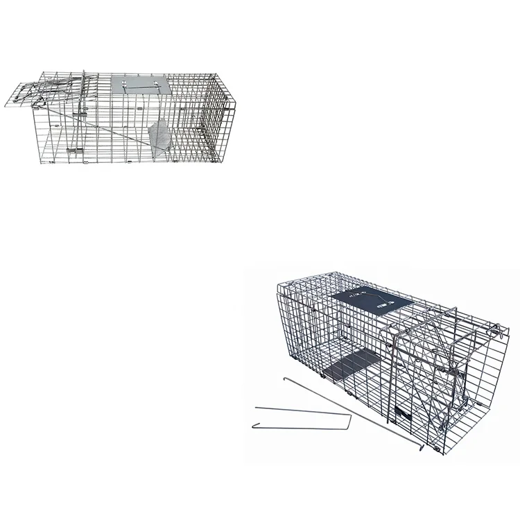 Large Live Animal Trap Catch Release Humane Rodent Cage Foldable Humane ...