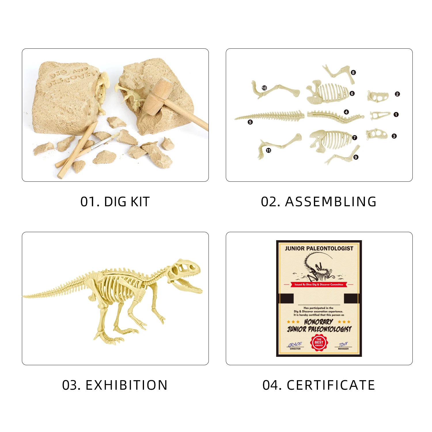 New Dig Toy Children Toy Velociraptor Dig Kit Party Toys For Children ...