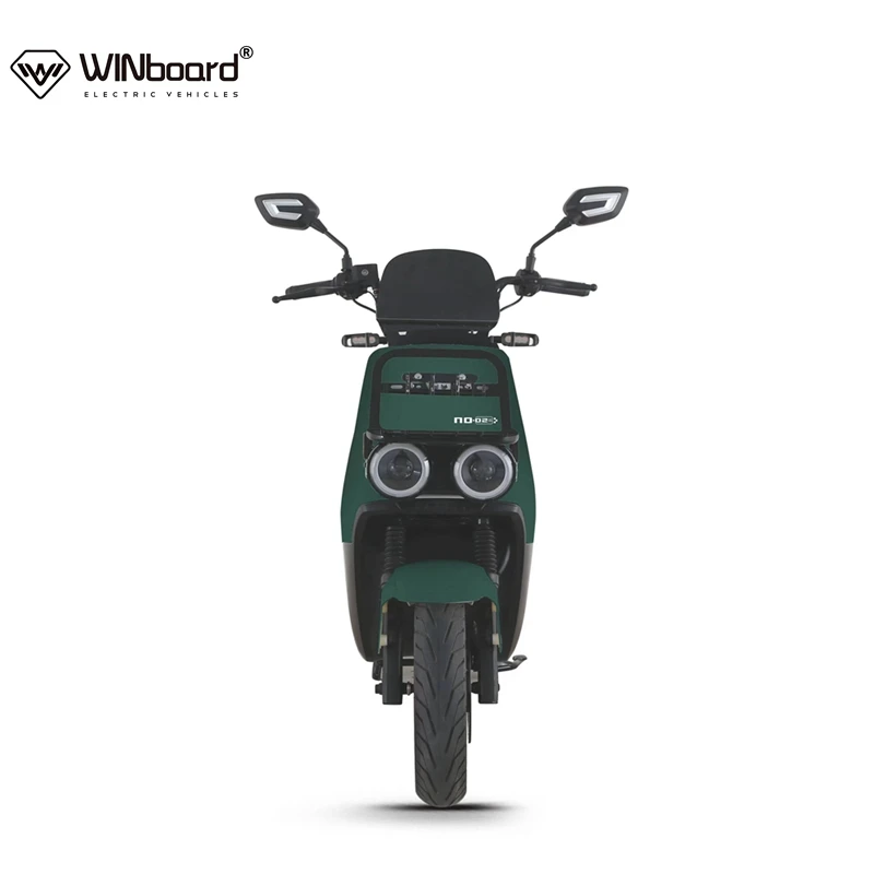 3000W Hub Motor CBS Brake Swappable Two Lithium Batteries Delivery ...