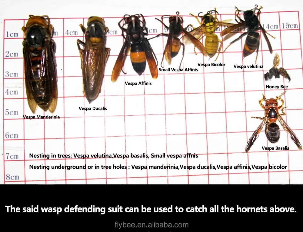 Heavy Duty 25 Air Hole PU Leather Sting Proof Hornet Suit