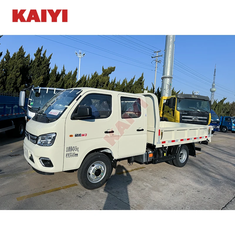 China Double Cabin Light Truck 1t Gasoline Engine Cargo Truck Box Truck ...