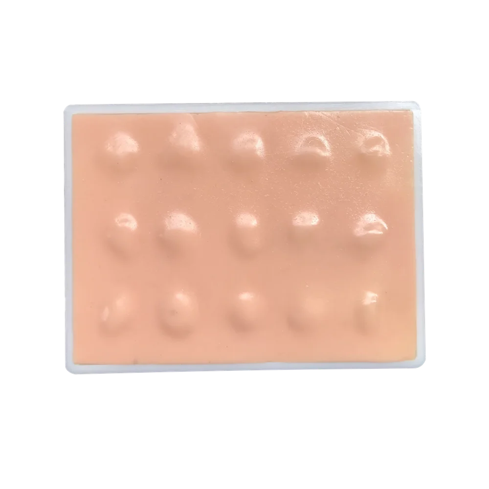 Sebaceous Cyst Excision Model Anatomical Medical Manikin for Nurse ...
