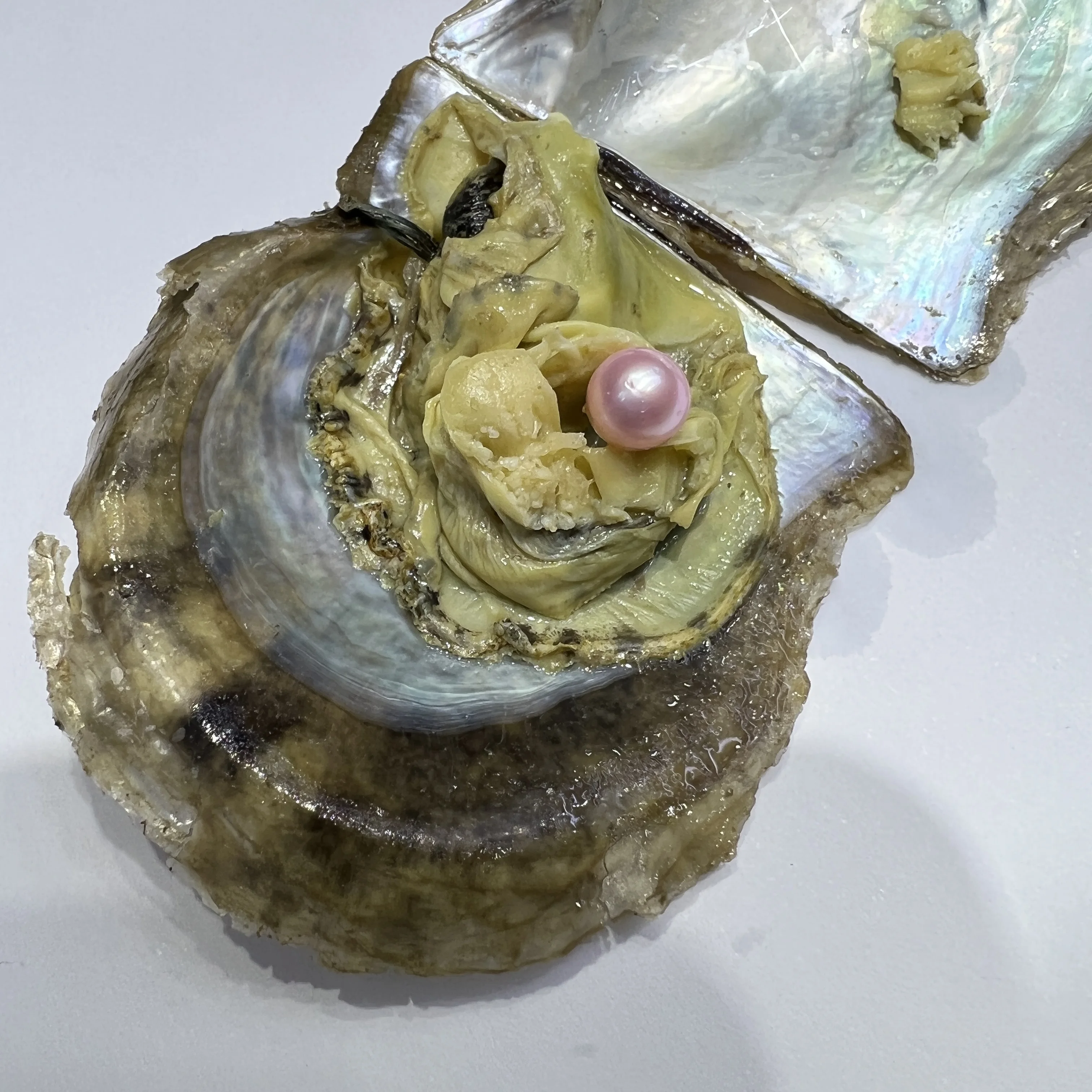 100pcs Mixed 7mm Colors Natural Freshwater Pearl Aaaaa Grade In Akoya ...