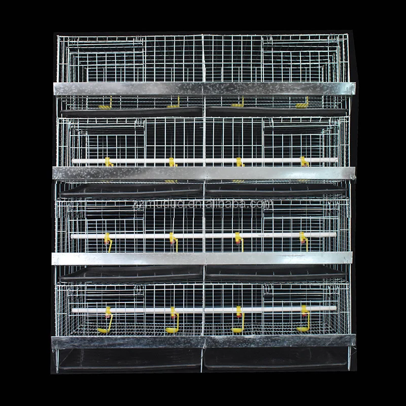 H Type Chicken Brooder Layer Cage - 4 Layers for Chicks