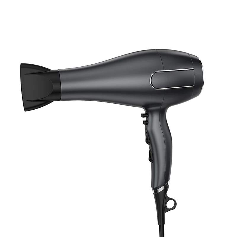 Professional Salon Hair Dyer Comb with AC Motor Blower