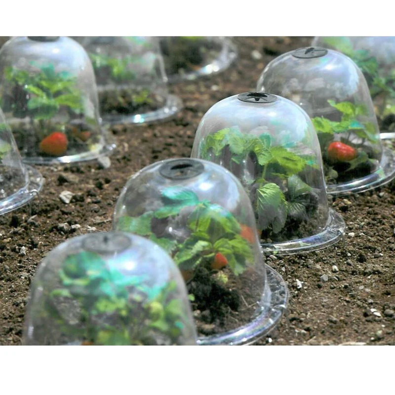 Large Garden Plant Cloche Dome Clear Plastic Humidity Dome Humidity ...