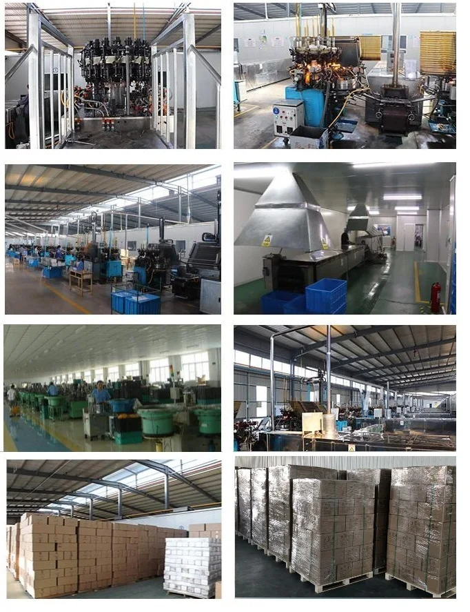 Snibe Cuvette - 6 Holes PP for Diasorin Liaison Analyzer