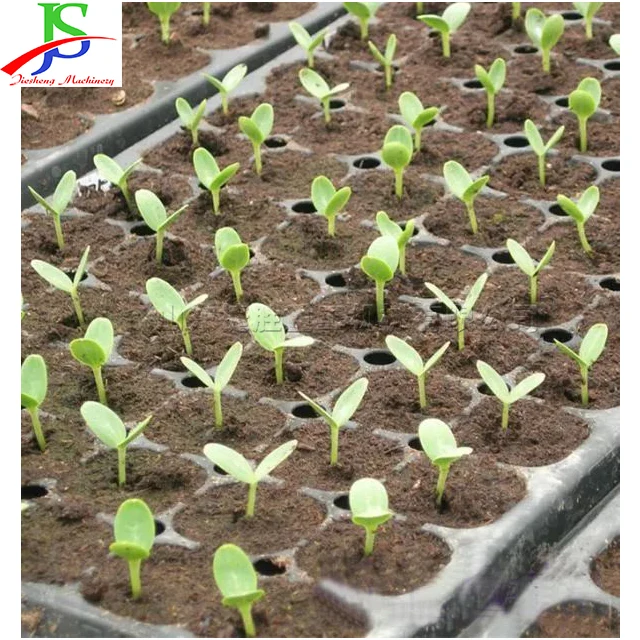 Efficient Automatic Plug Tray Seeder Machine High Quality Stainless ...