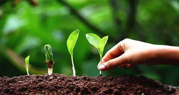 Agrochemical Plant Biostimulants - Fulvic Acid & Humic Acid