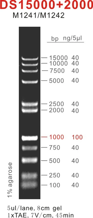 Ds15000+2000 Dna Marker,Oem M1241/m1242 - Buy Dna Marker,Ds 15000+2000 ...