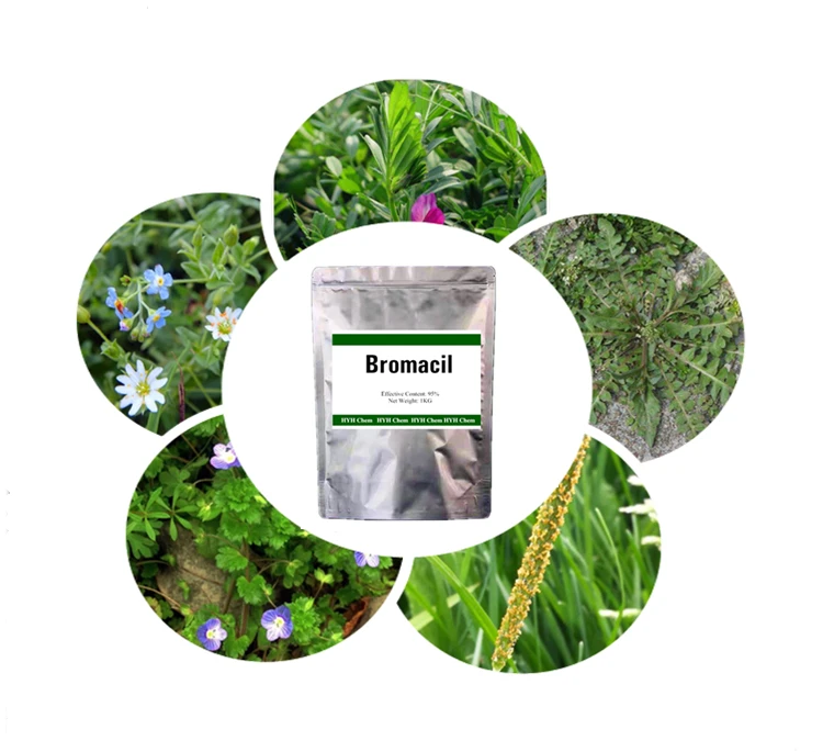 Grass Killer Bromacil Herbicida Organic Bromacil 95% Tc Powder - Buy ...