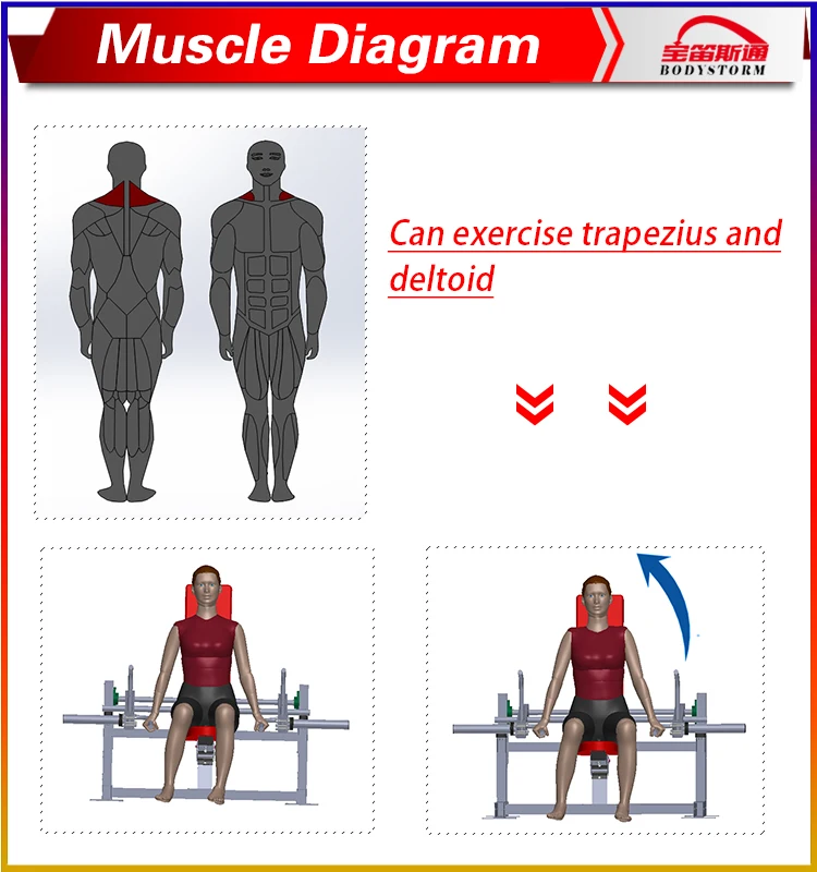 Commercial Gym Equipment Multi Fitness Equipment Exercise Gym Standing ...
