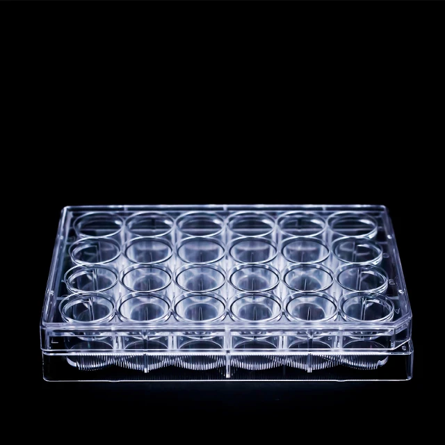 Laboratory Use No Treated 24 Well Clear Lid Cell Culture Plate Sterile ...