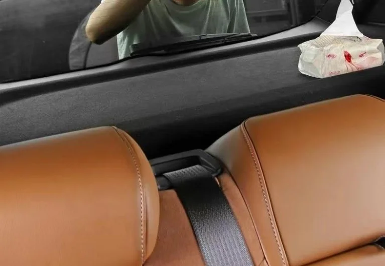 Changan Benben EV E-Star Rear Trunk Compartment Accessory