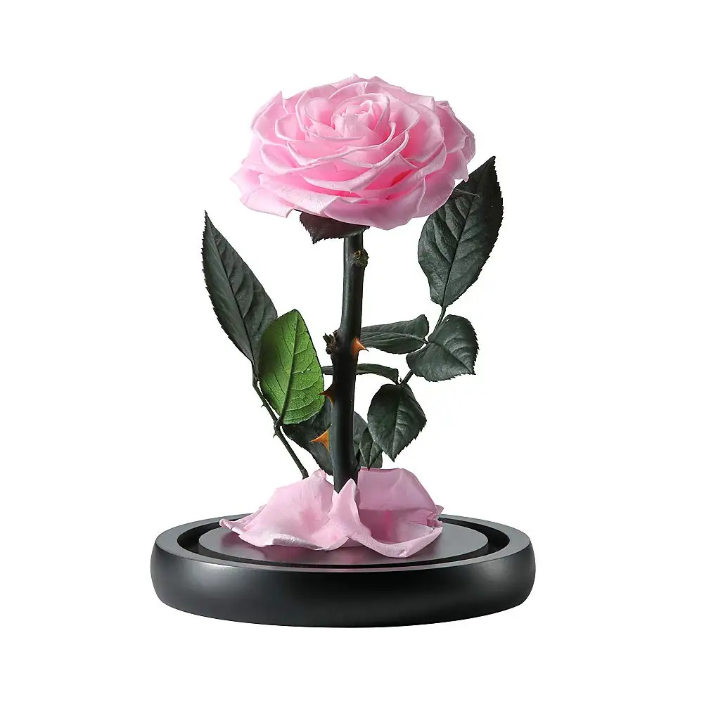 Shop Our Real Eternal Flower Rose Preserved Roses Gift Box