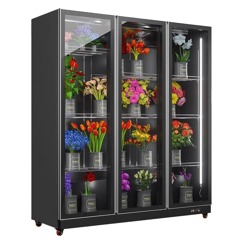 Chiller Flower Display Fridge Glass Freezer Cold Showcase Upright ...