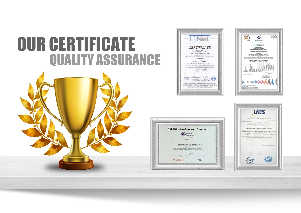 Jinxiang Liming Trading Co., Ltd. - GARLIC, GINGER