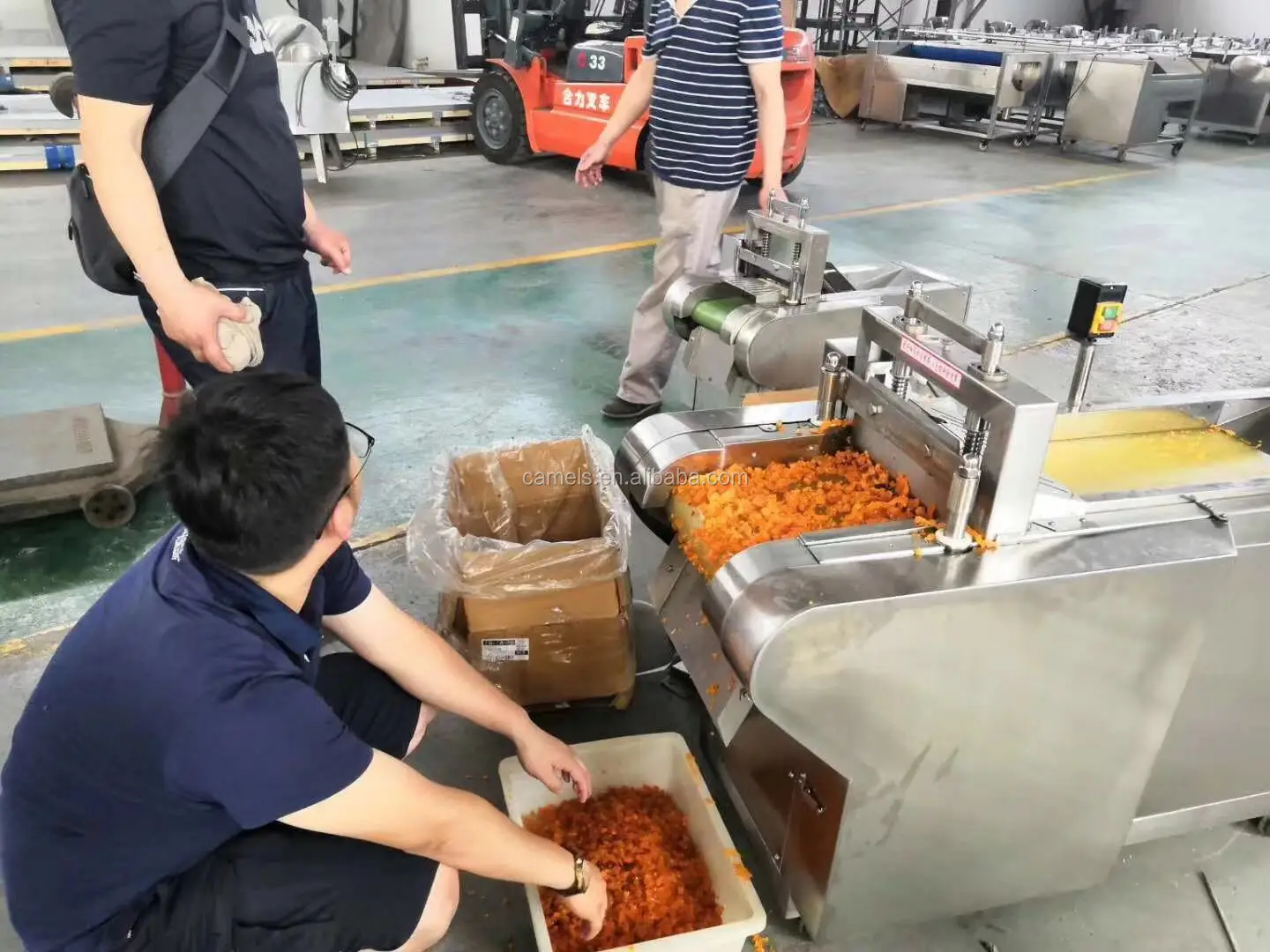 Mango Atchar Cutting Machine Mango Chip Machine Mango Slicer Machine ...