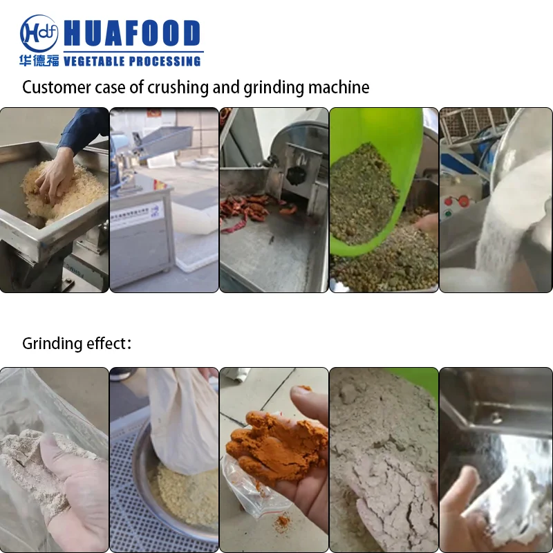 Hazel Universal Hammer Grinding Machine Hazelnuts Universal Crusher ...