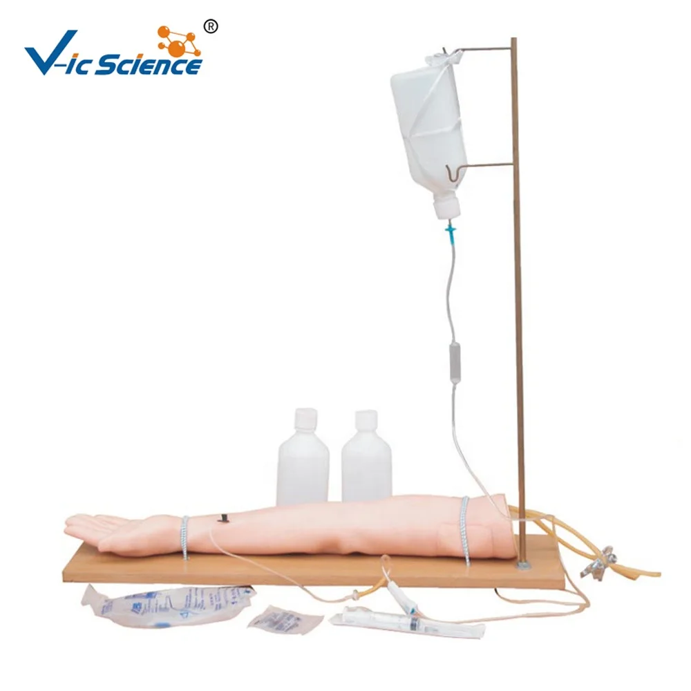 Advanced Iv Arm Medical Simulator For Training Nurse Training Injection ...