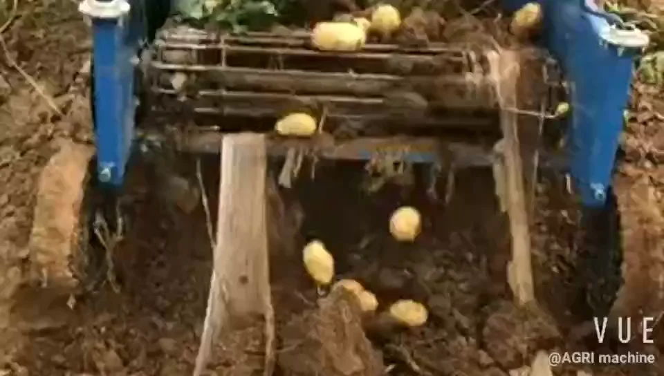 Tractor Rear Mounted Pto Driven Ginger Digger Potato Harvester Machine ...