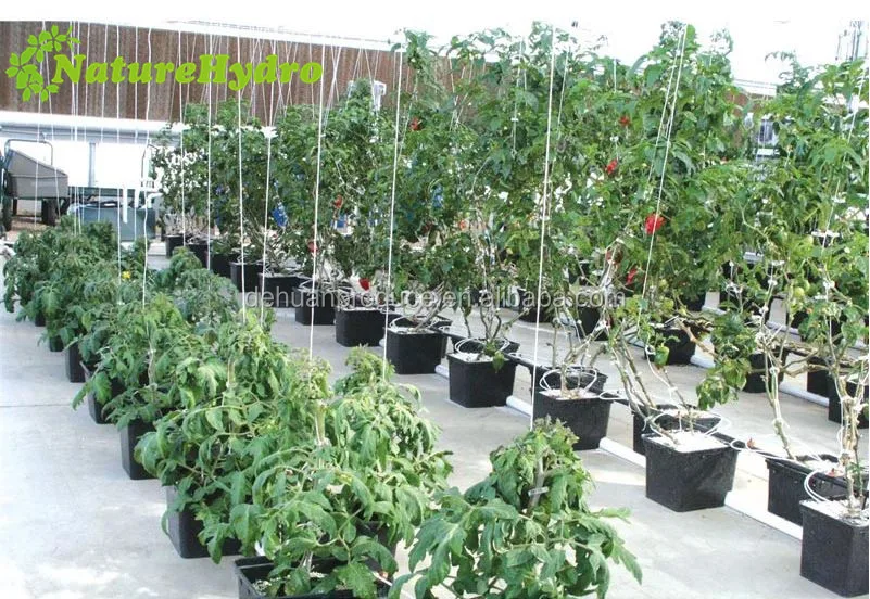 20 Gallon Bucket with Lid - Ideal for Hydroponic Growing