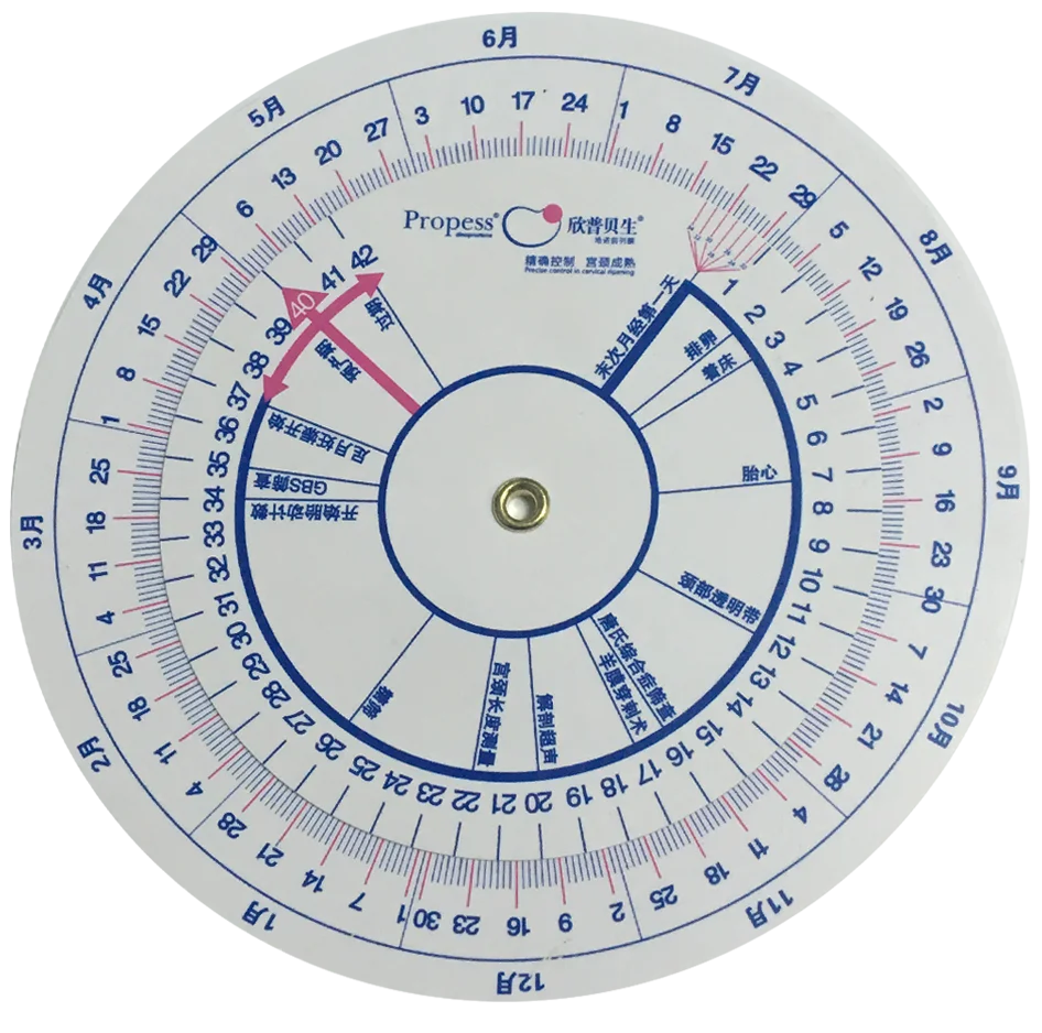 Wholesale BMI Medical Pregnancy Calculator Wheel for OB/GYN