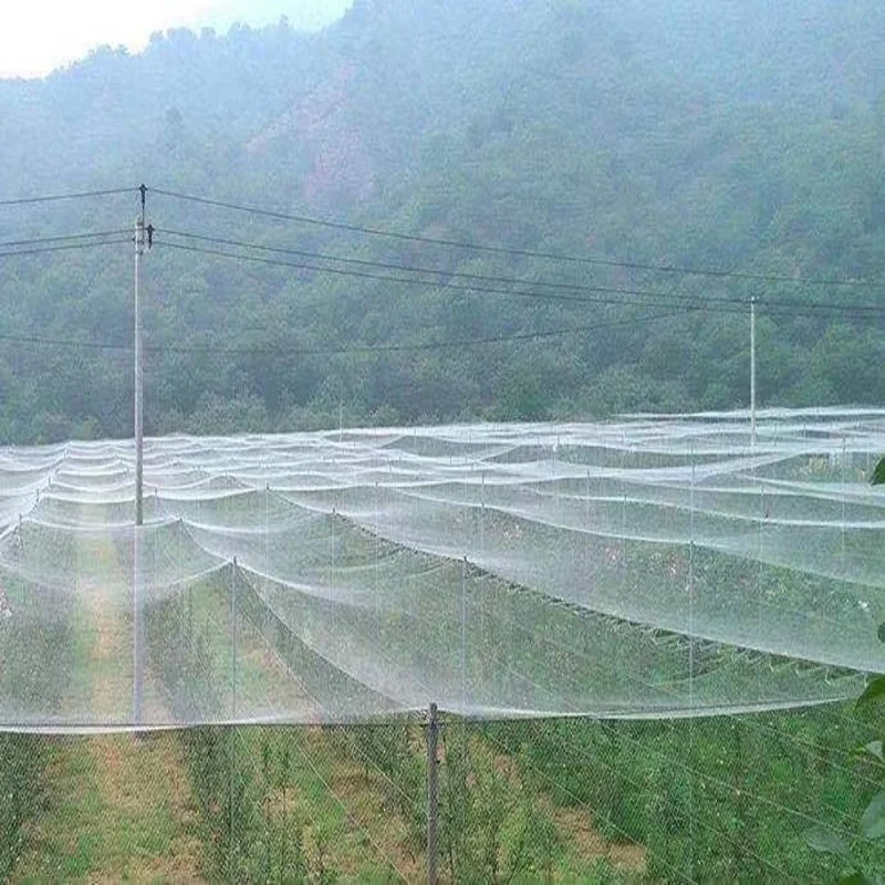 Hdpe Greenhouse Fruit Shade Cloth Agricultural Shade Net Insect Net ...