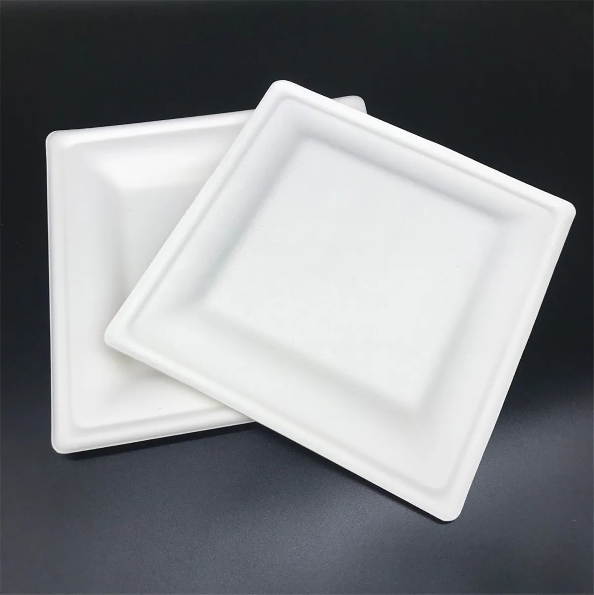 Disposable Sugarcane Fiber Bagasse Pulp Square Food Tray Dish Plate ...