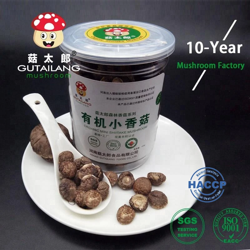 Canned Dried Shiitake Mushroom 1kg Small Shiitake Mushroom Mushroom ...