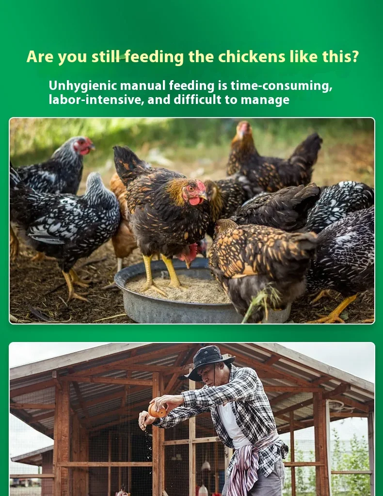 Stainless Steel Chicken Pedal Trough Anti-Rat Waterproof Foot-Operated ...
