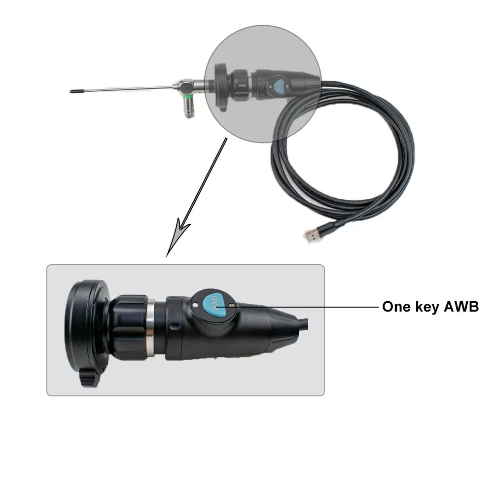 Ent Endoscopy Camera Handle Veterinary Endoscope Portable