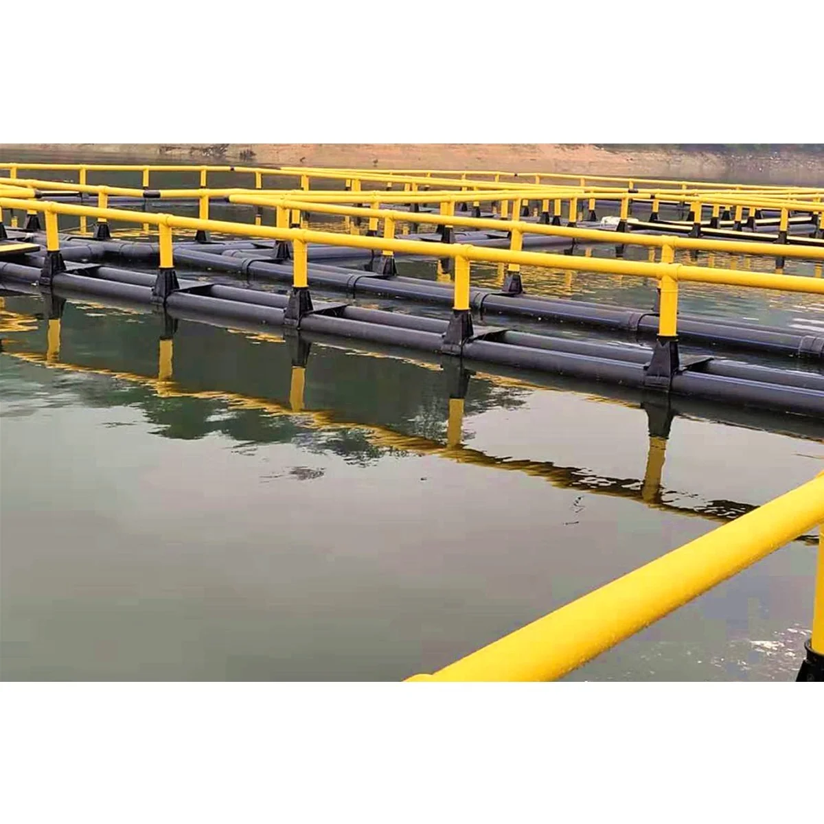 Bluefin Tuna Aquaculture Floating Cage Pen HDPE Circular Plastic Fish ...