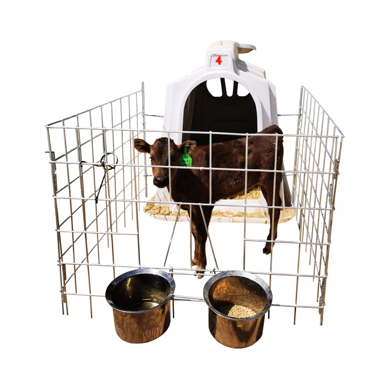 Calf Hutch Dairy Farm Equipment Cattle Factories Calves House - Buy ...
