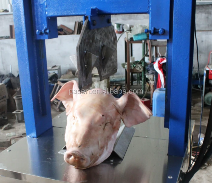Efficient Sheep Head Splitter Machine by Pasen - 1 Year Warranty