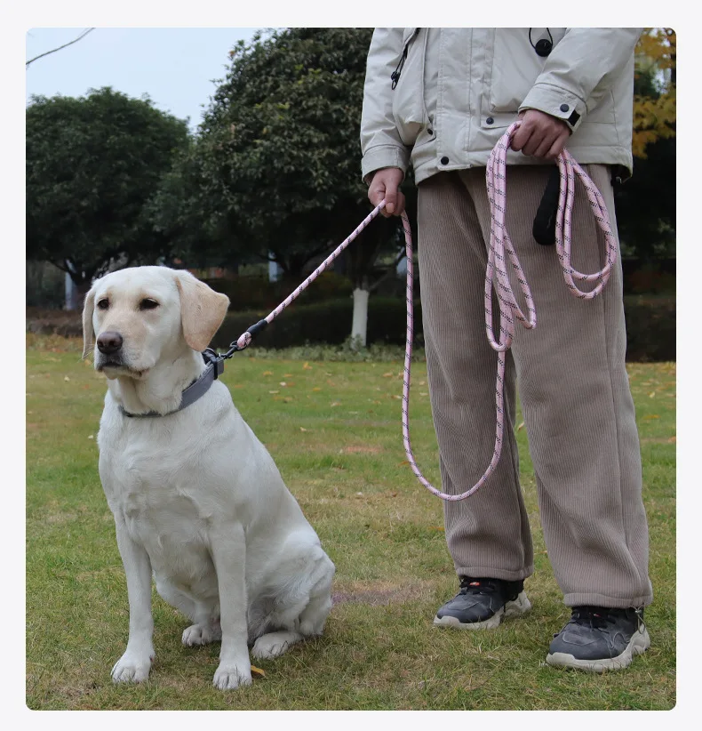 New Luxury Solid Pink Dog Leash 2025 Strong Heavy Duty PVC Rope 5m/8m ...