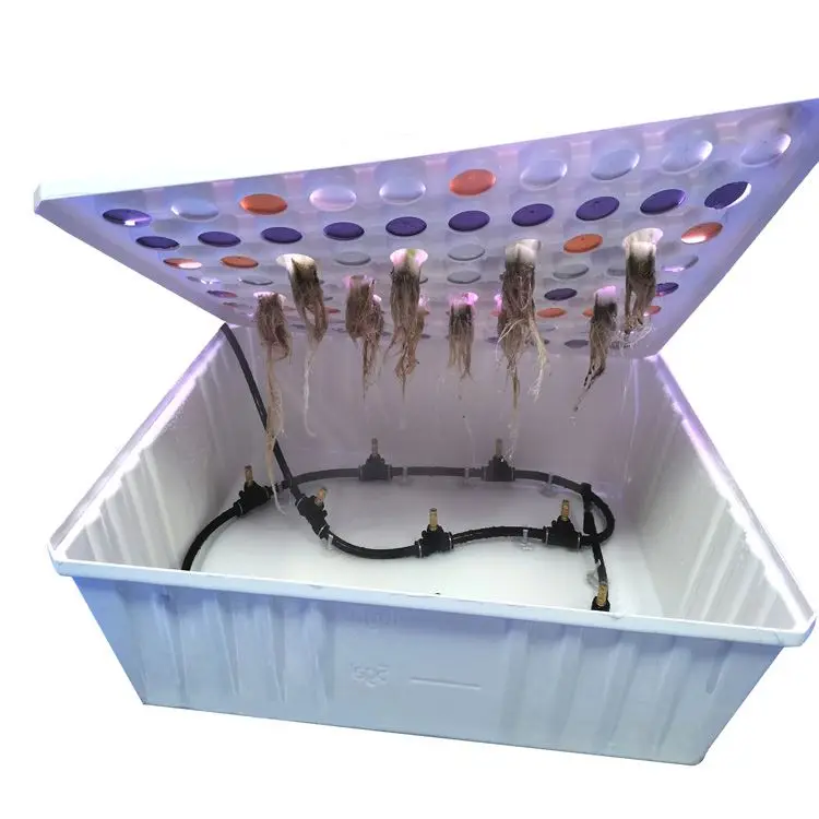 ABS Plastic Cloning Tray with Dome - Hydroponic Cloner