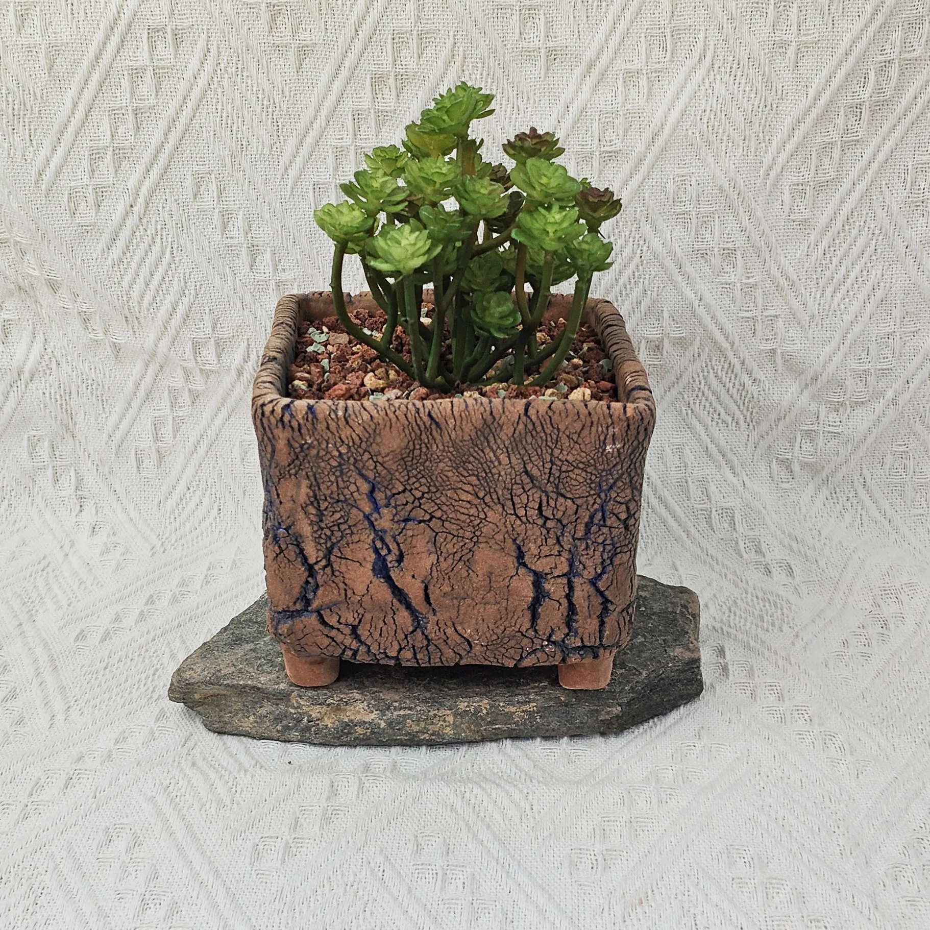 Square Ceramic Flower Pot Desktop Potted Simple Breathable Succulent ...