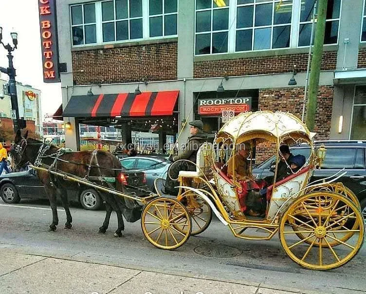 Prom Carriage - Elegant Limousine & Victoria Limusina