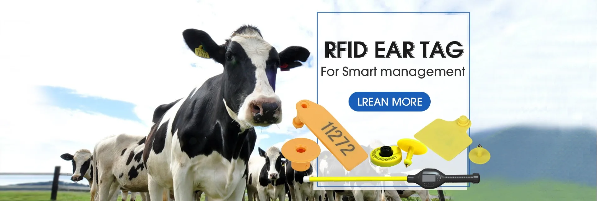 Shenzhen Toptag Group Co., Ltd - Ear Tag, Glass Tag