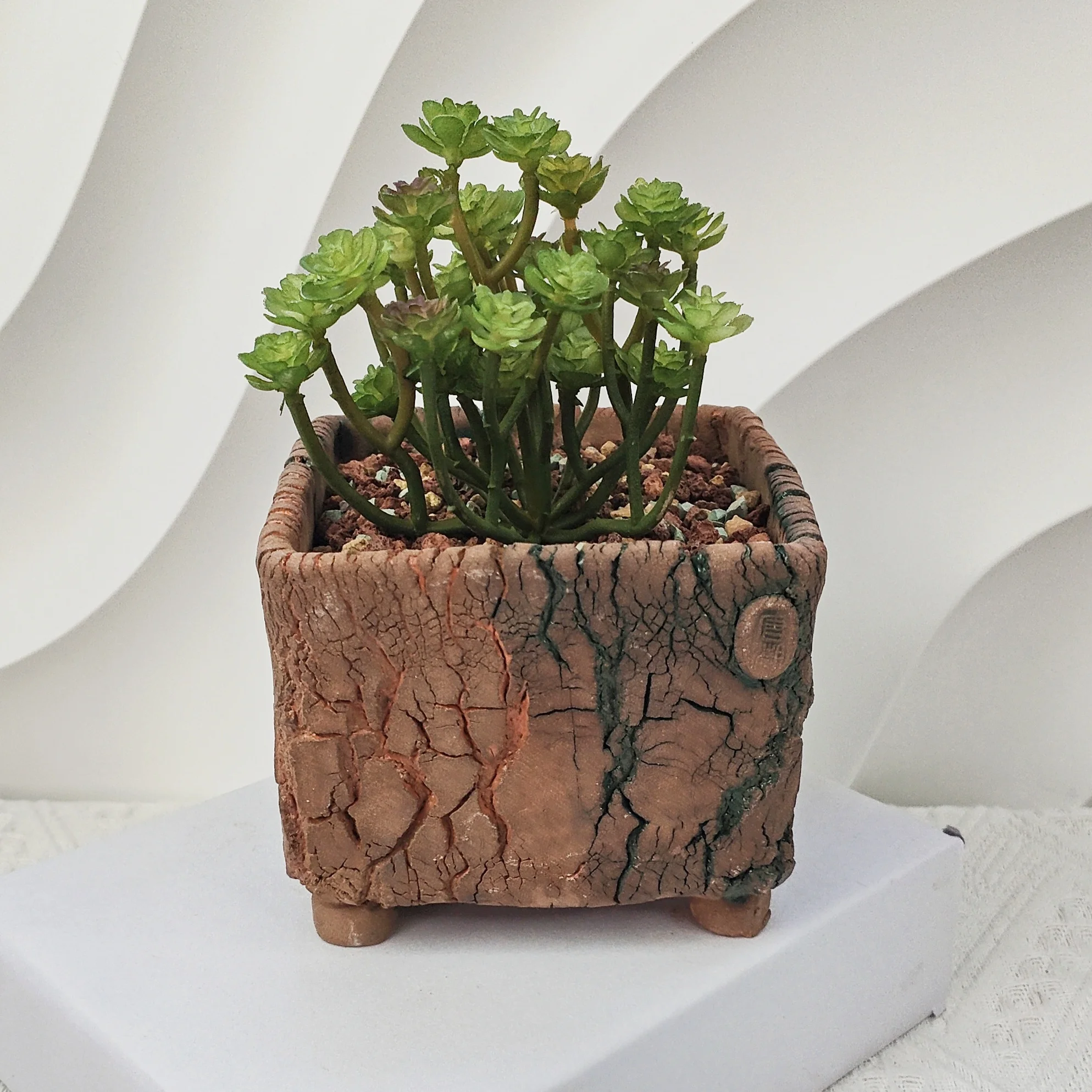 Square Ceramic Flower Pot Desktop Potted Simple Breathable Succulent ...