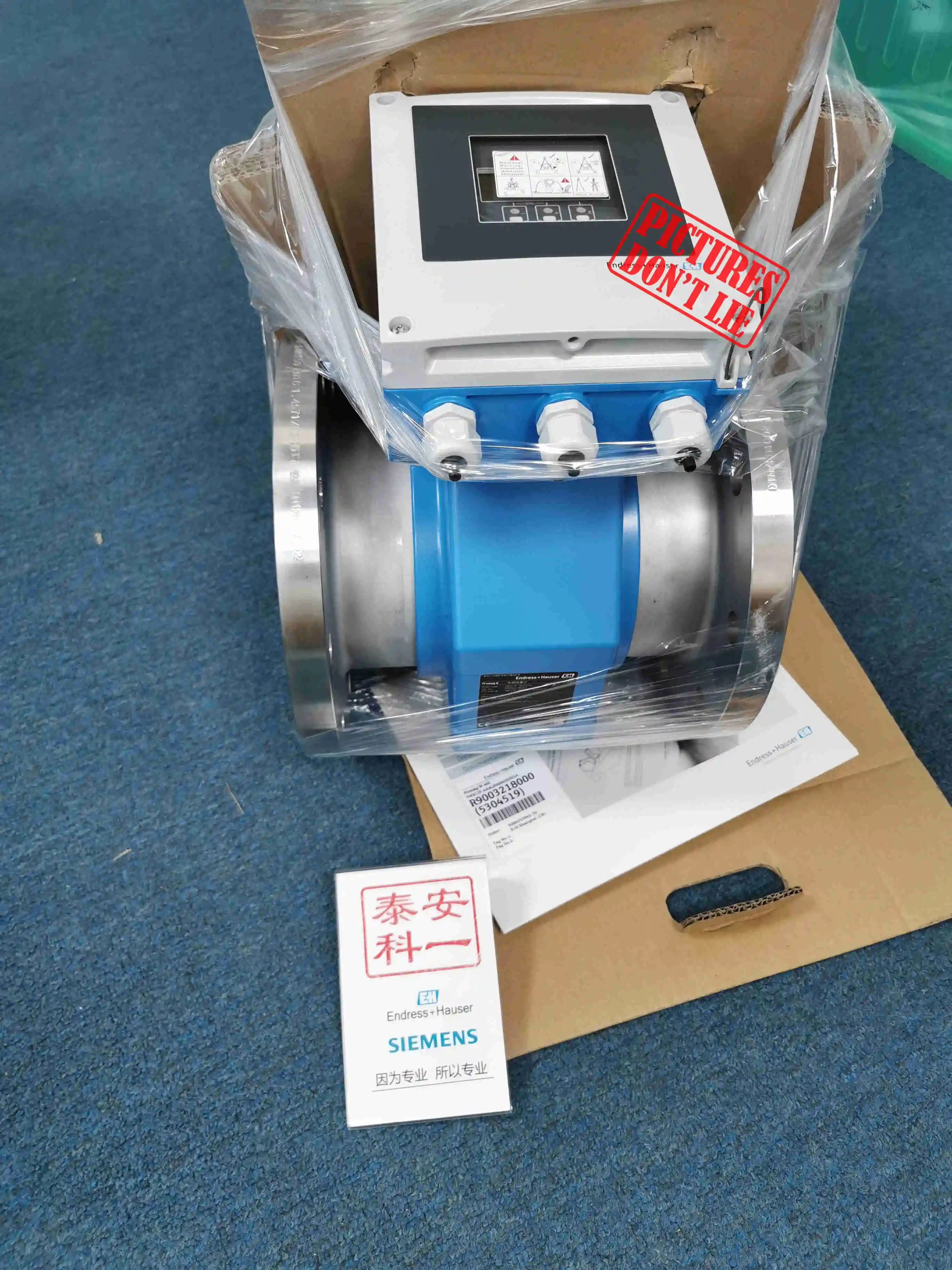 Endress Hauser/ Electromagnetic Flowmeter Promag 55s50 55s80 55s1h ...