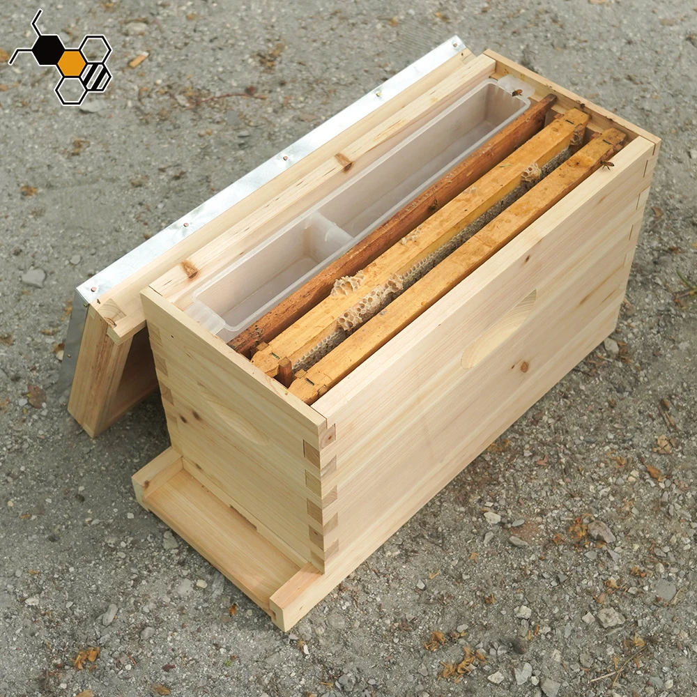 5 Frames Beehive Nuc Bee Box Wooden Langstroth Nuc Box Cardboard Nuc Box Bee| Alibaba.com