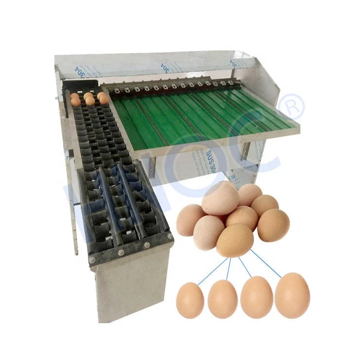 Professional Egg Sorter Scale and Grader Weigh Inspection Duck Egg ...