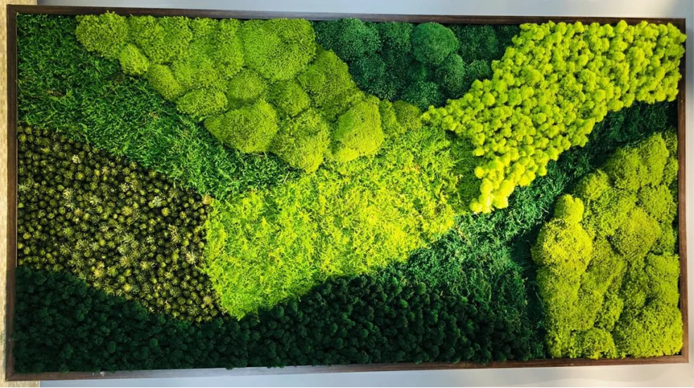Fresh Real Natural Preserved Sheet Moss For Wall Decoration Buy Fresh Real Natural Preserved Sheet Moss For Wall Decoration Buy