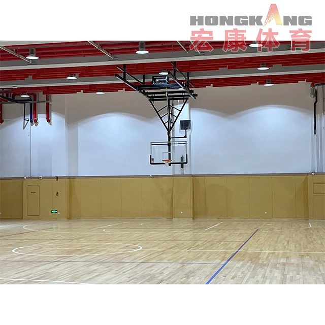 Hongkang Customized Gymnasium Ceiling Mounted Basketball Hoop ...